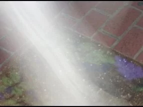 Vortex Ghost Pictures Examples